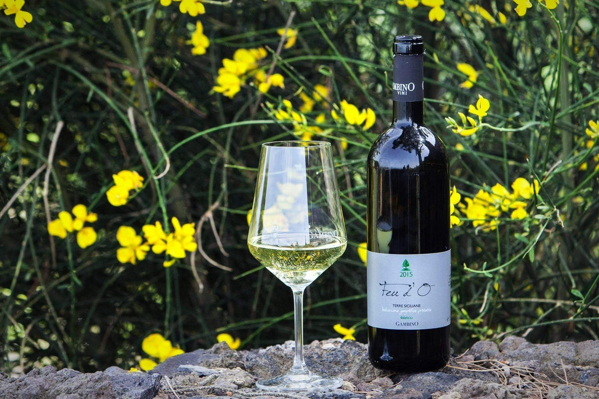 Sicilian Grillo Wine: Taste & Tradition Unveiled – Gambino Winery