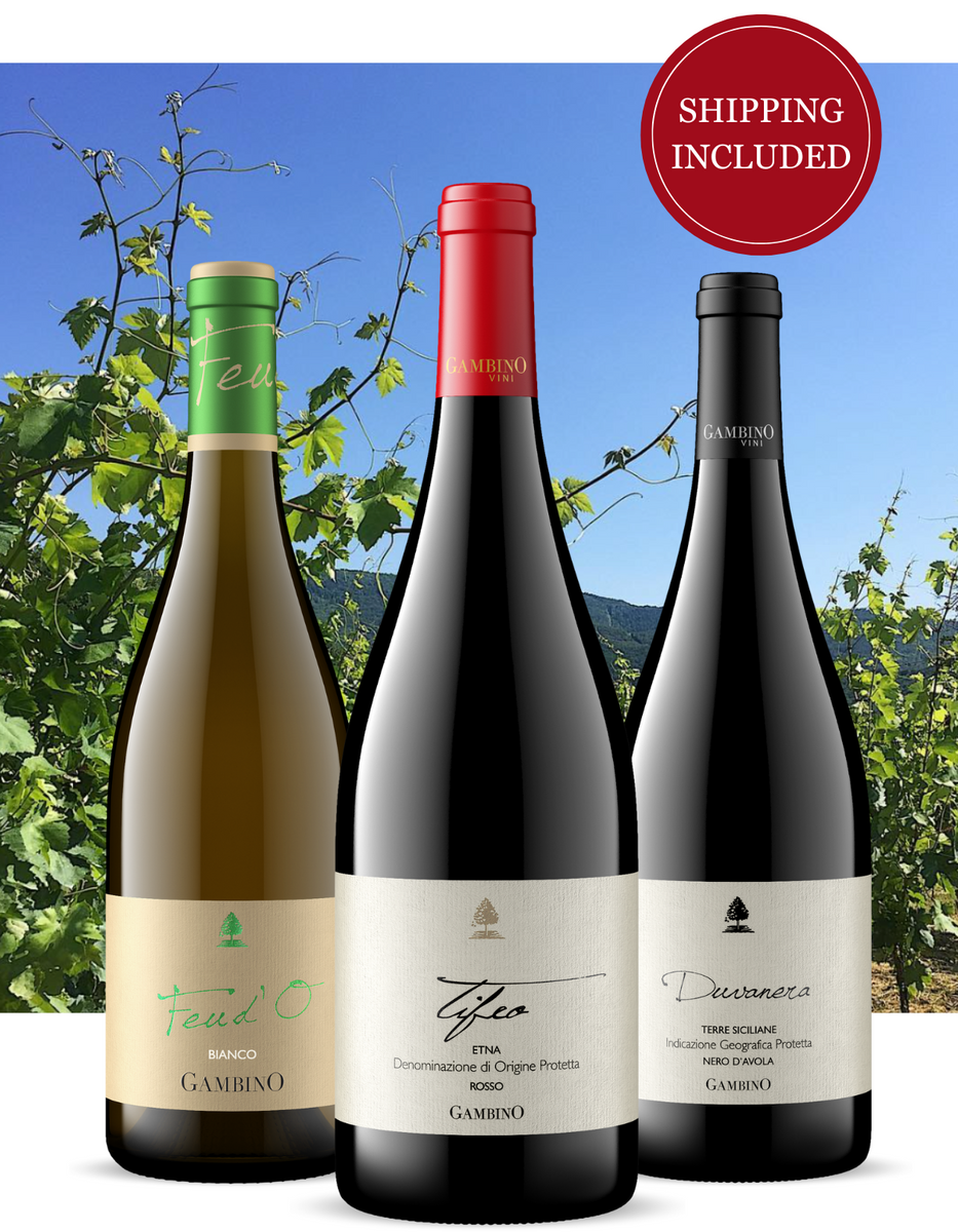 Best Selling 6 Pack – Gambino Winery