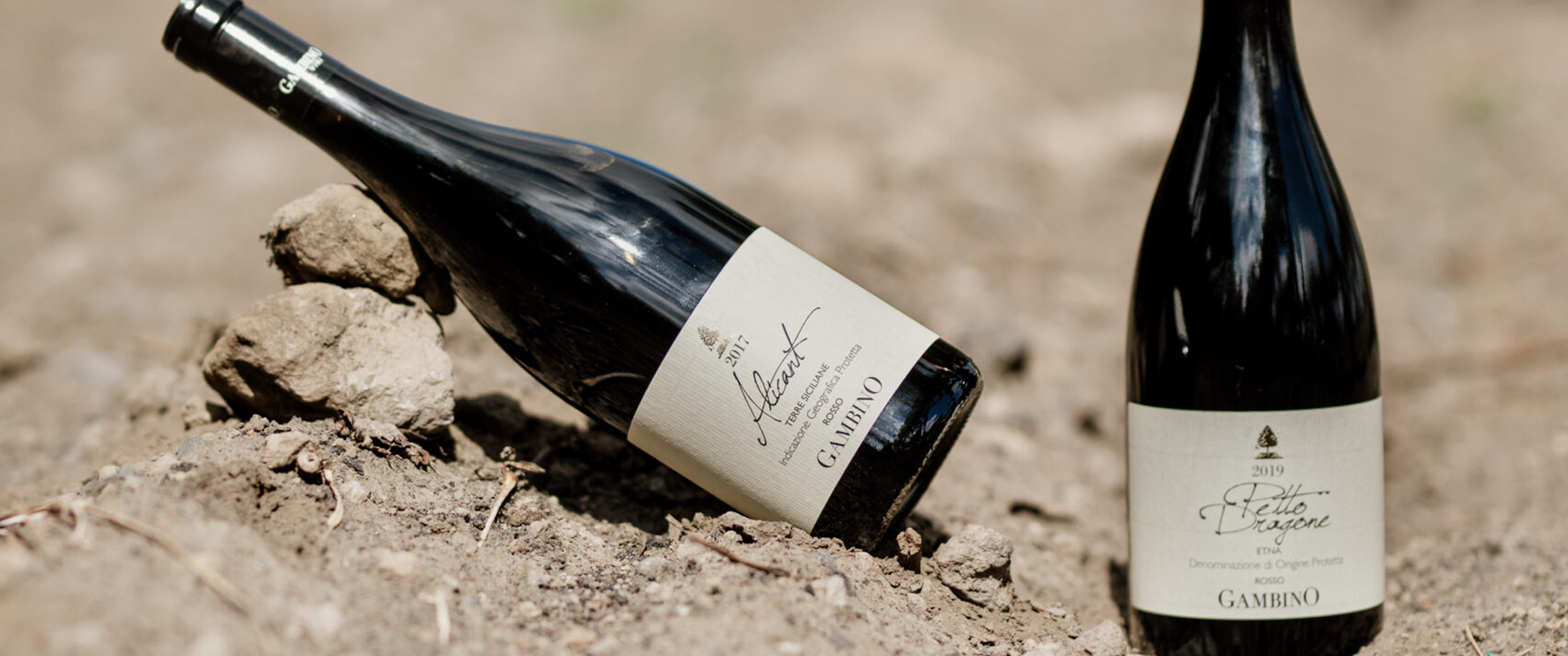 Wine Club – Gambino Winery